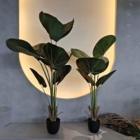 China Realistic Artificial Fan Palm Tree with Natural Green Foliage for sale