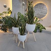 China Rustic Fiber Clay Planter Waterproof With Drainage Holes for sale