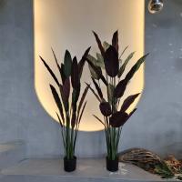 China Artificial Dieffenbachia Tree For Indoor Outdoor Decoration for sale