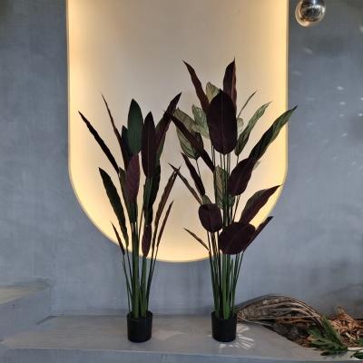China Artificial Dieffenbachia Tree For Indoor Outdoor Decoration for sale