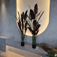 China Artificial Dieffenbachia Tree For Indoor Outdoor Decoration for sale