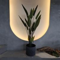 China Uv Resistant Artificial Schefflera Tree For Indoor And Outdoor Decoration for sale