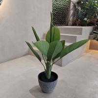 China QUANGUI Plastic Flower Pots 190-290mm Sizes with Drainage Holes for Indoor Outdoor Gardening for sale
