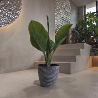 China QUANGUI Plastic Flower Pots 178-305mm with Drainage Holes for Outdoor Trees and Indoor Plants for sale