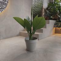 China QUANGUI Plastic Garden Pot 250×175×230mm - Lightweight PE Planter with Custom Logo Options for sale