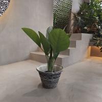 China QUANGUI QGP 90-8043 Plastic Flower Pot - 30 Unit MOQ, $3.28 Price with Built-in Drainage Holes for sale
