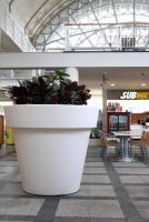 China Custom Fiberglass Hanging Planters with Drainage Holes - 3-5mm Thickness, Various Sizes for Indoor Outdoor Decor for sale