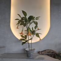 China Insect Resistant Lifelike Artificial Plants Artificial Datura Tree For Home Decor for sale