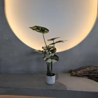 China Insect Resistant Faux Monstera Tree 70-100cm For Low Maintenance Decor for sale