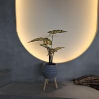 China Insect Resistant Faux Monstera Tree 70-100cm For Low Maintenance Decor for sale