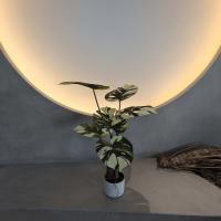 China Insect Resistant Faux Monstera Tree 70-100cm For Low Maintenance Decor for sale