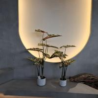 China QUANGUI Lifelike Plastic Artificial Taro Tree 70-120cm UV Resistant Indoor Outdoor Faux Plant for sale