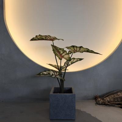 China QUANGUI Lifelike Plastic Artificial Taro Tree 70-120cm UV Resistant Indoor Outdoor Faux Plant for sale