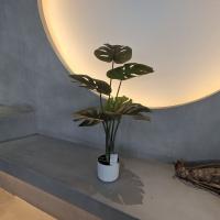 China 70cm Artificial Monstera Tree Artificial House Plants For Indoor / Outdoor for sale