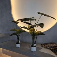 China Hypoallergenic Plastic Artificial Plants Realistic Uv Resistant 70-95CM for sale