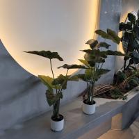 China Hypoallergenic Plastic Artificial Plants Realistic Uv Resistant 70-95CM for sale