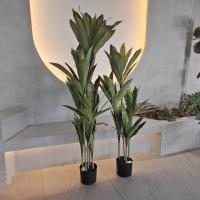 China Indoor / Outdoor Plastic Artificial Plants Waterproof 120-150cm for sale