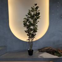 China Insect Resistant Artificial Plants Indoor Artificial Green Walls 150CM for sale