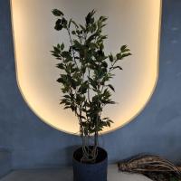 China Insect Resistant Artificial Plants Indoor Artificial Green Walls 150CM for sale