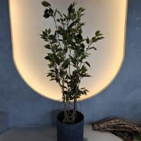 China Insect Resistant Artificial Plants Indoor Artificial Green Walls 150CM for sale