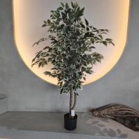China Hypoallergenic Plastic Fake Plants Insect Resistant 120CM for sale