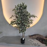 China Hypoallergenic Plastic Fake Plants Insect Resistant 120CM for sale