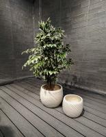 China Frost and Fire Resistant Fiber Clay Planter with Smooth Surface for sale