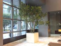 China Fiberglass Plant Pot Matte Finish Customizable Sizes for Indoor Outdoor Use for sale