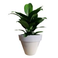 China Fiberglass Planter Box Large Resin Flower Vase Outdoor Custom Logo Size 30pcs MOQ for sale