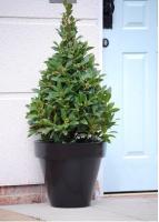 China Fiberglass Planter Box Large Resin Flower Vase Outdoor Custom Logo Size 30pcs MOQ for sale