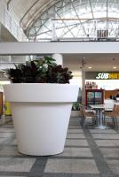 China Fiberglass Planter Box Large Resin Flower Vase Outdoor Custom Logo Size 30pcs MOQ for sale