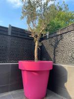 China Fiberglass Planter Box Large Resin Flower Vase Outdoor Custom Logo Size 30pcs MOQ for sale