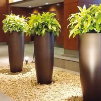 China Indoor Hotel Fiber Clay Planter for sale
