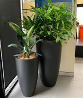 China Indoor Hotel Fiber Clay Planter for sale