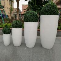 China Indoor Hotel Fiber Clay Planter for sale