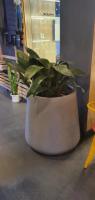 China Enhance Your Garden With Elegant Fiber Clay Planters Round Shape for sale