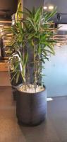 China Enhance Your Garden With Elegant Fiber Clay Planters Round Shape for sale