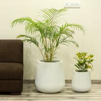 China Enhance Your Garden With Elegant Fiber Clay Planters Round Shape for sale