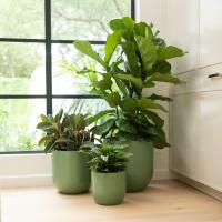 China Fiberglass Flower Pots Customizable Size 30-40 Days Production CE/Rohs/ISO9001 for sale