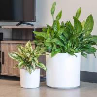 China Custom Fiberglass Flower Planter Round Square Rectangular Vase Pot for Garden Indoor Outdoor for sale