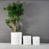 China Custom Fiberglass Flower Planter Round Square Rectangular Vase Pot for Garden Indoor Outdoor for sale