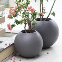 China Fiberglass Flower Pots Durable Lightweight Customizable for Indoor Outdoor Garden for sale