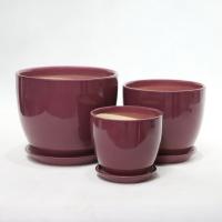 China Indoor Ceramic Pots For Your Planting Needs Wide Selection Available for sale