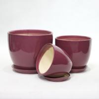 China Indoor Ceramic Pots For Your Planting Needs Wide Selection Available for sale