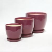 China Indoor Ceramic Pots For Your Planting Needs Wide Selection Available for sale