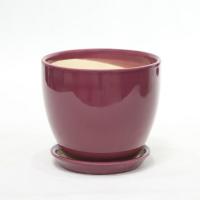 China Indoor Ceramic Pots For Your Planting Needs Wide Selection Available for sale