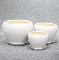 China Indoor Ceramic Pots For Your Planting Needs Wide Selection Available for sale