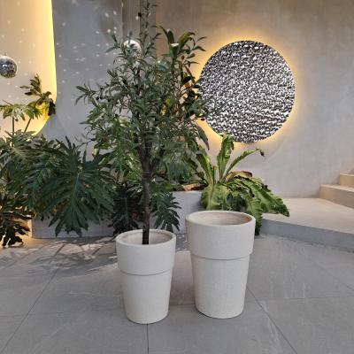China Customized Fiber Cement Pot With Hand Carved Finishing The Ultimate Plant Display Solution for sale