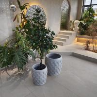 China Fiber Clay Planter D480xH500 Durable Frost Resistant Lightweight Outdoor Indoor for sale