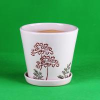 China Modern Ceramic Pots Easy Maintenance and Simple Design for Your Home Decoration for sale